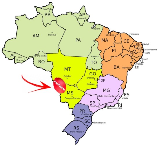 PANTANAL Mato Grosso Brasil :: ANA CASSIANO BLOG